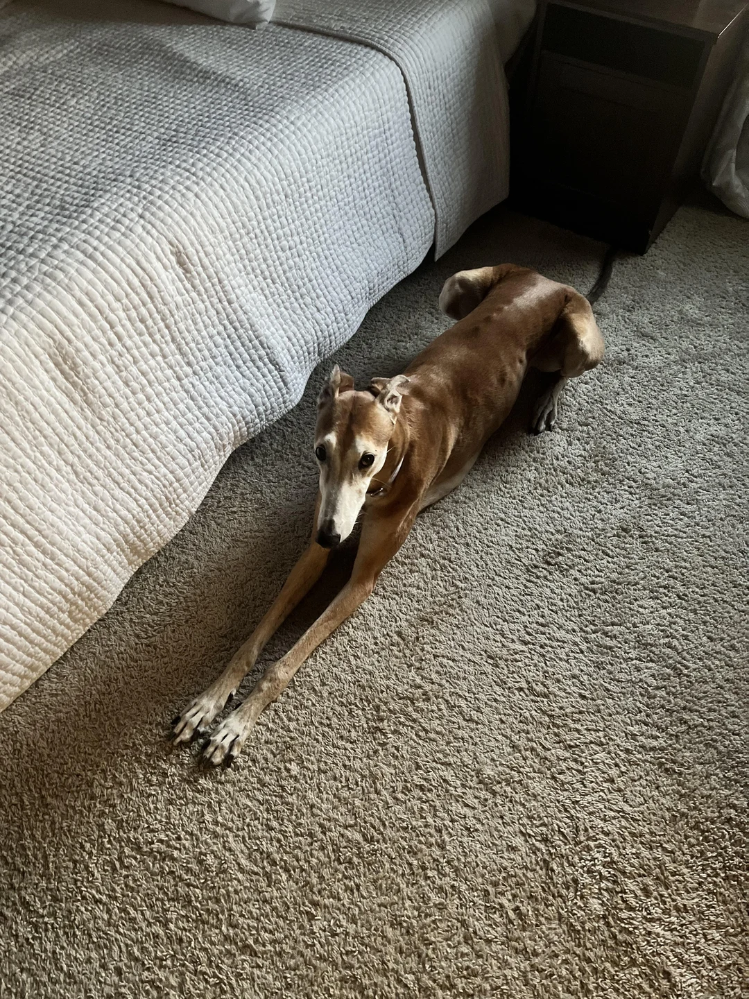 Picky eater. | Scrolller