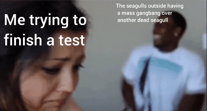 And they're so fucking loud! | Scrolller