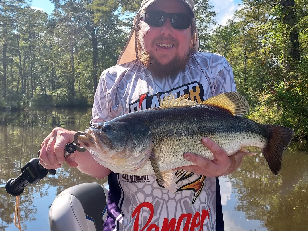 Big bass in VA | Scrolller