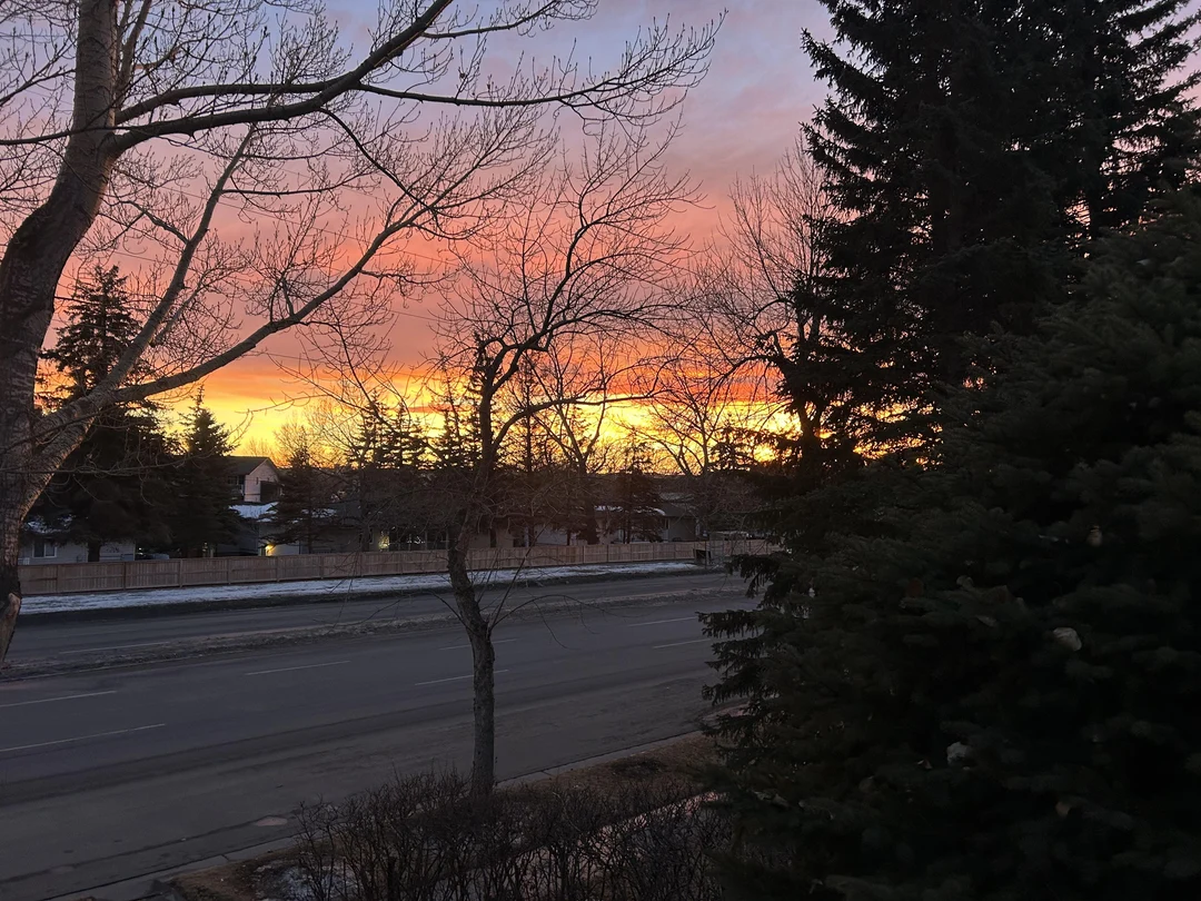 Thank God, I can see these beautiful Calgary sunsets. | Scrolller