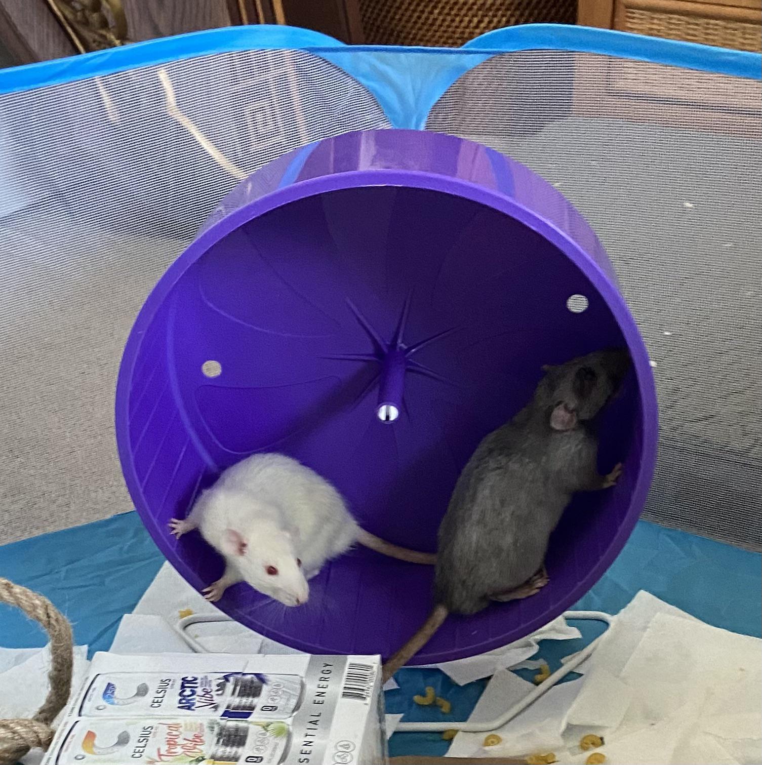 With our powers combined! | Scrolller