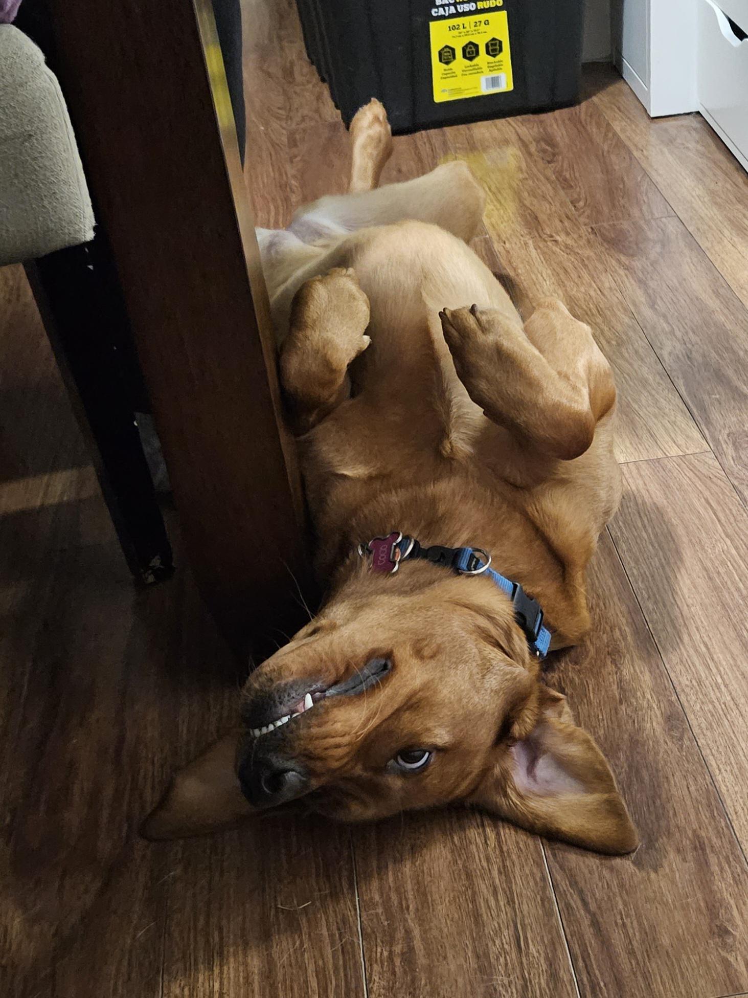 Coco being a derp | Scrolller