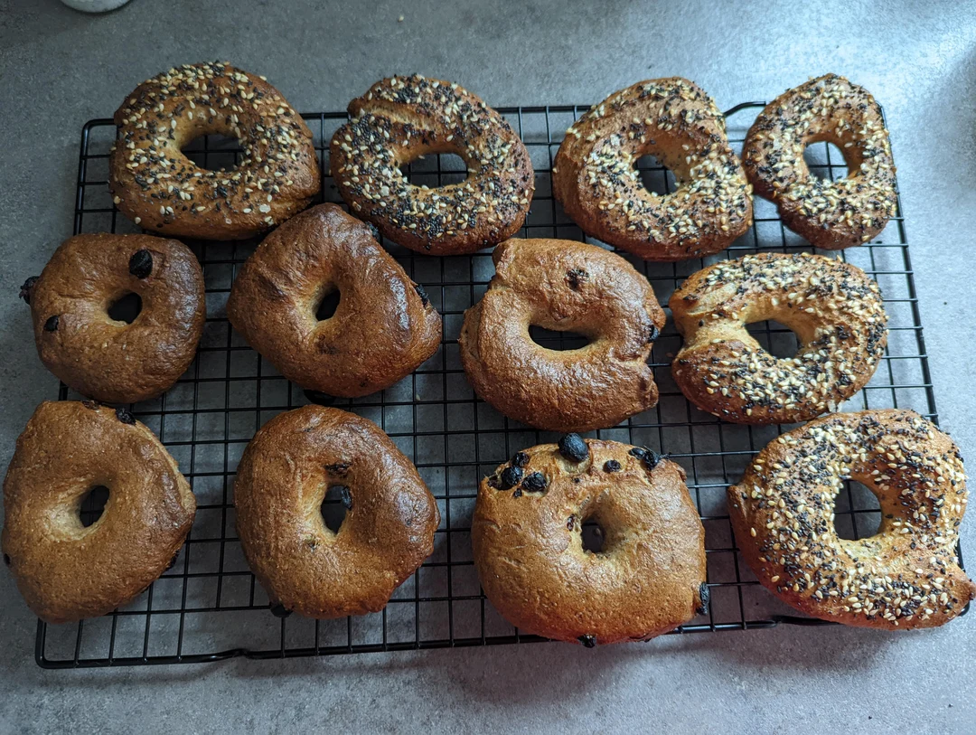 First attempt at bagels | Scrolller
