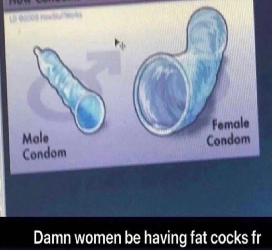 Gawd dam | Scrolller