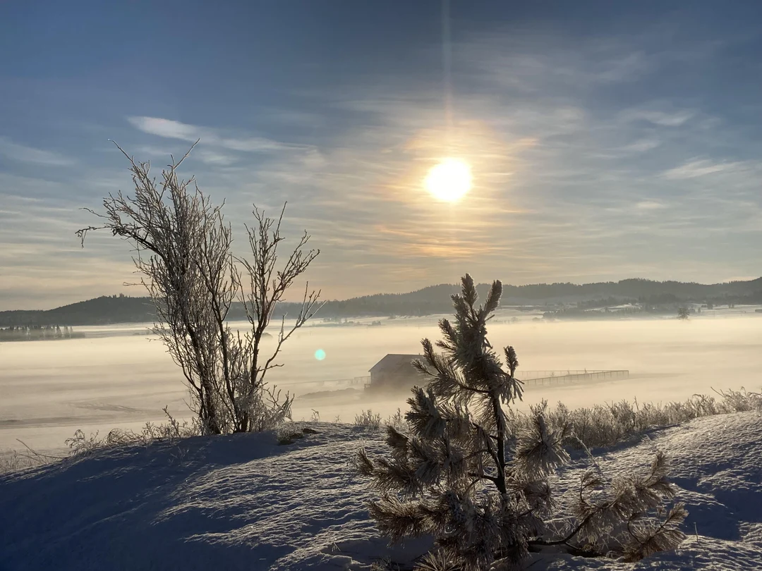 Winter in WA | Scrolller