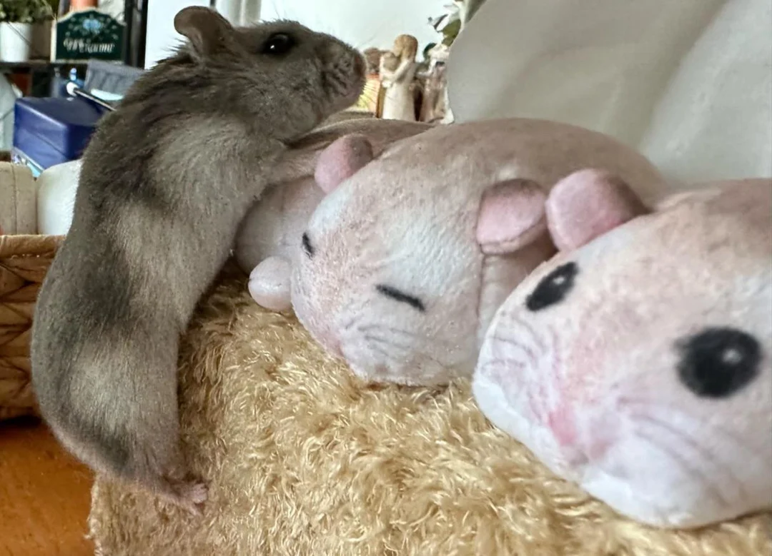 My bubbles | Scrolller