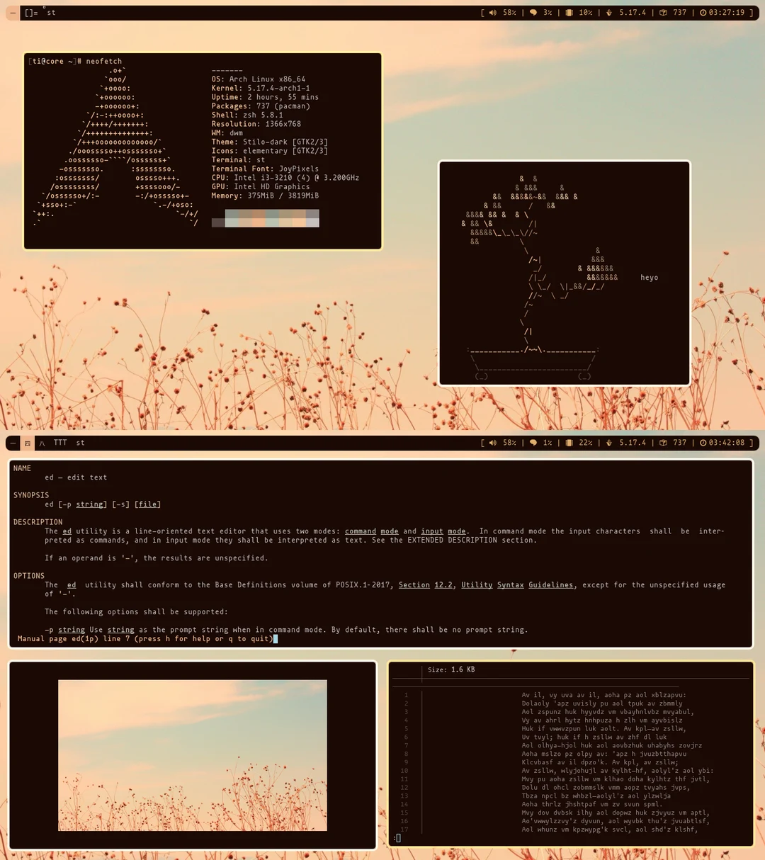 [Dwm] I think I'm posting too much :p | Scrolller