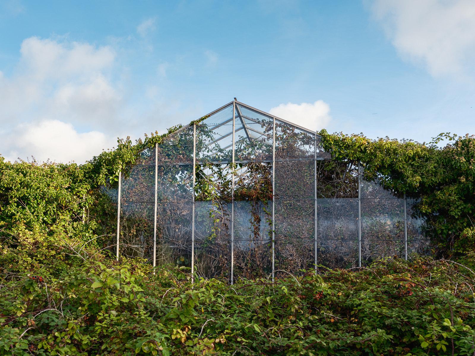 Abandoned overgrown greenhouse | Scrolller