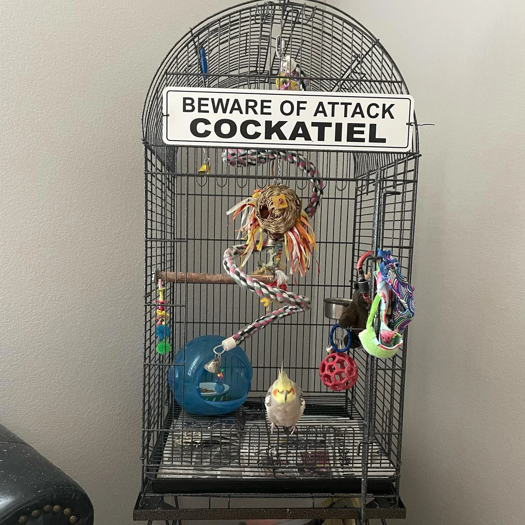 He now has a warning label | Scrolller