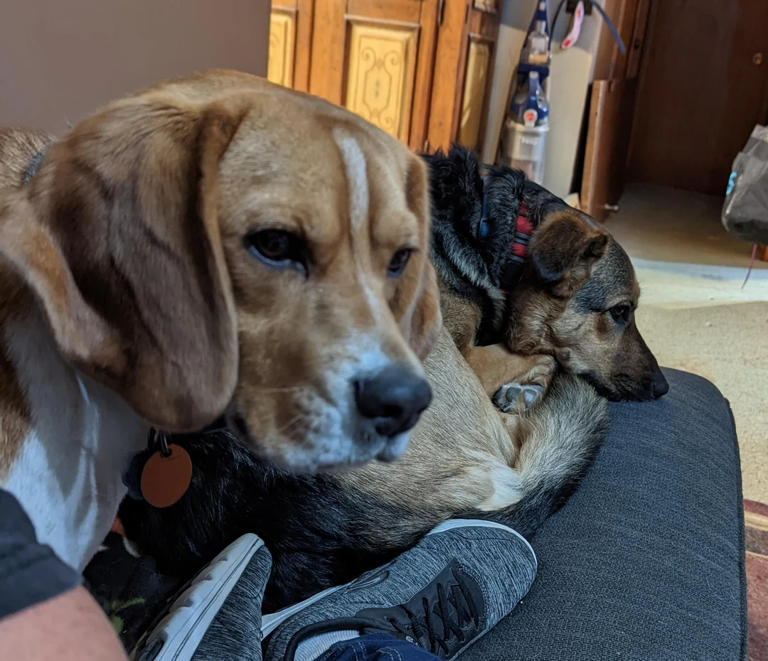 My besties! | Scrolller