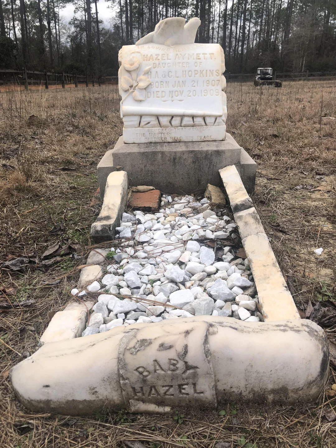 Baby Hazel | Scrolller