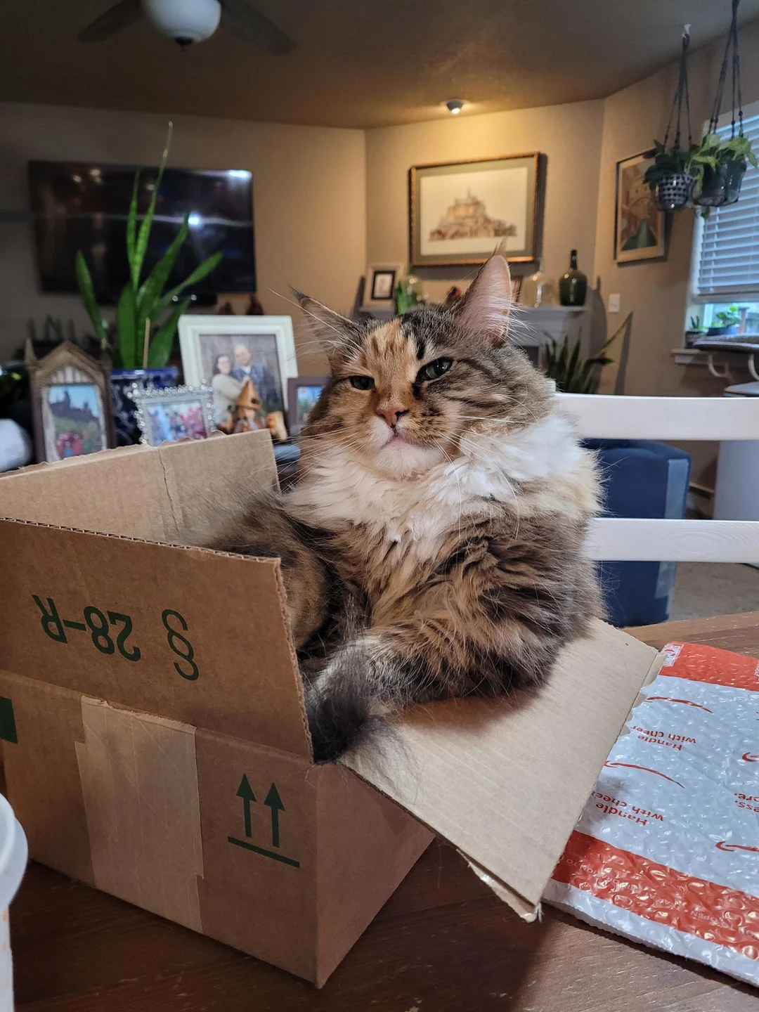 ummm i think amazon sent me the wrong package... | Scrolller