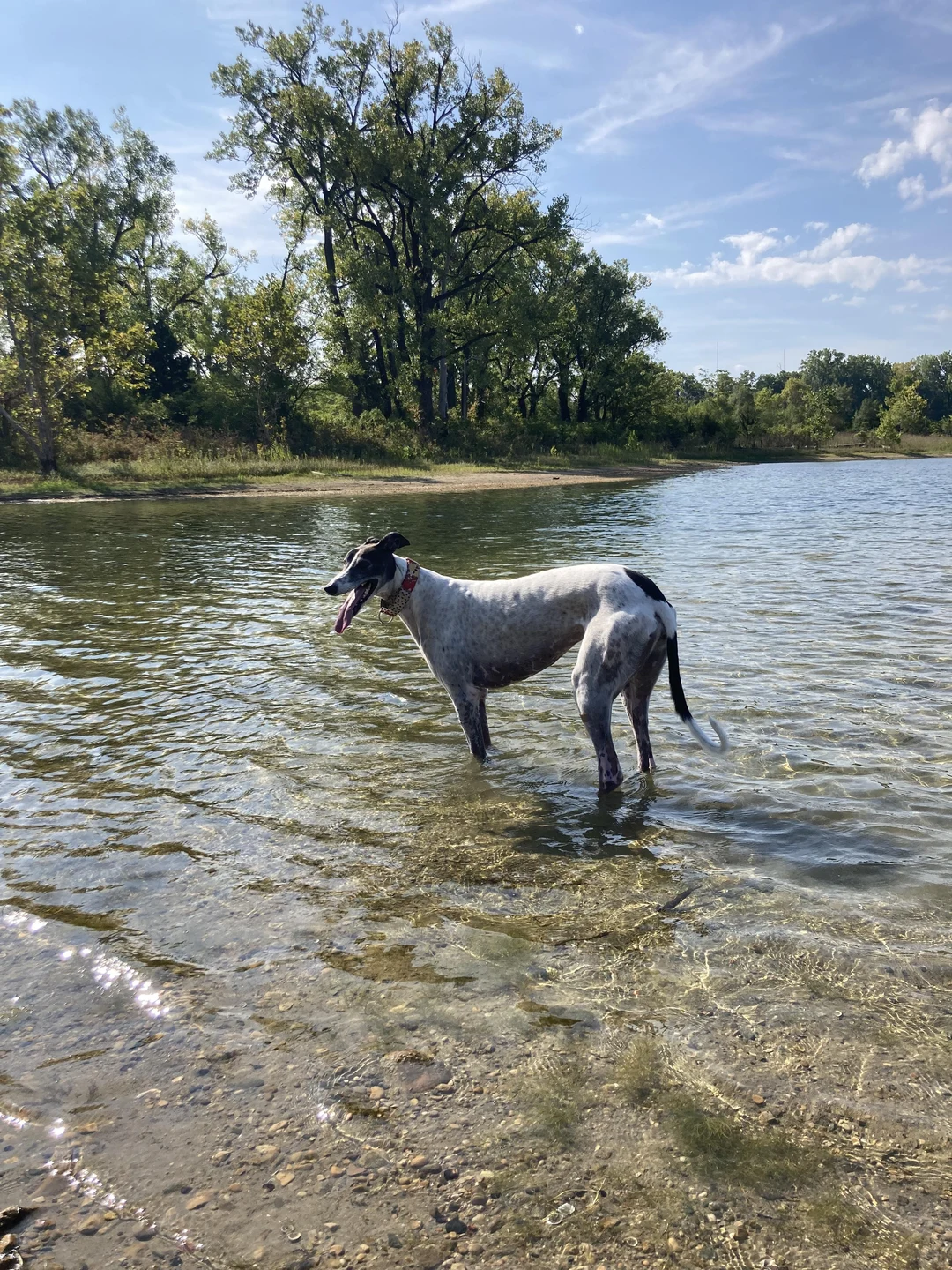 Boarding in Indiana? | Scrolller