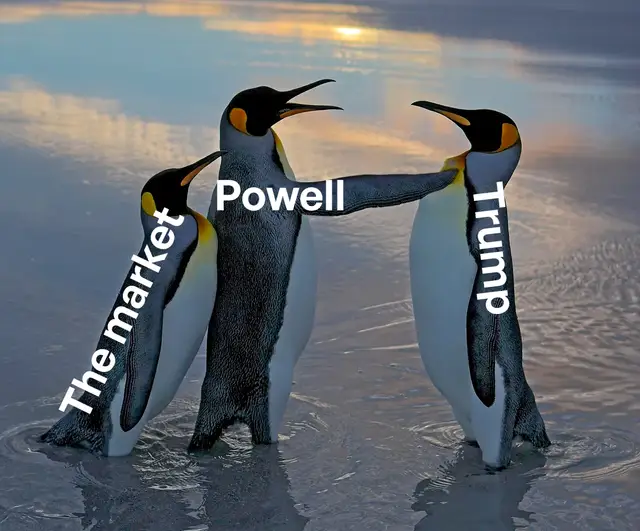 Jealous penguin | Scrolller