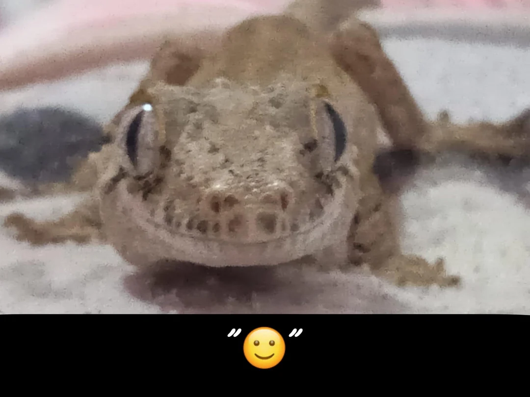 Post your front facing fellas | Scrolller