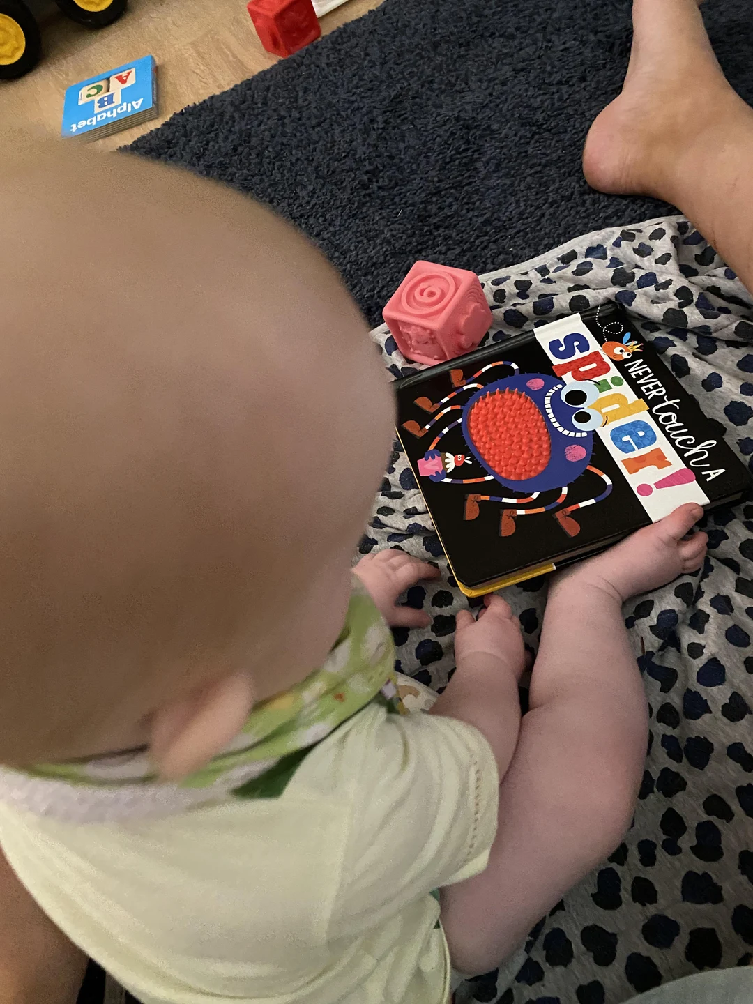 Discover more like Australia: Gotta start training them early and Related Content | Scrolller