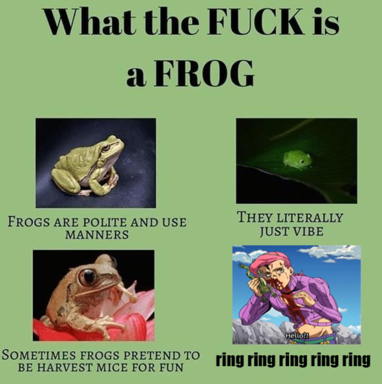 What is a Frog? | Scrolller