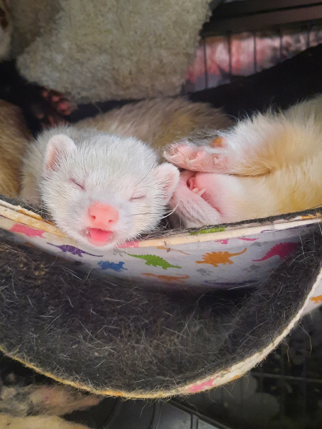 Brother and sister sleep bleps | Scrolller