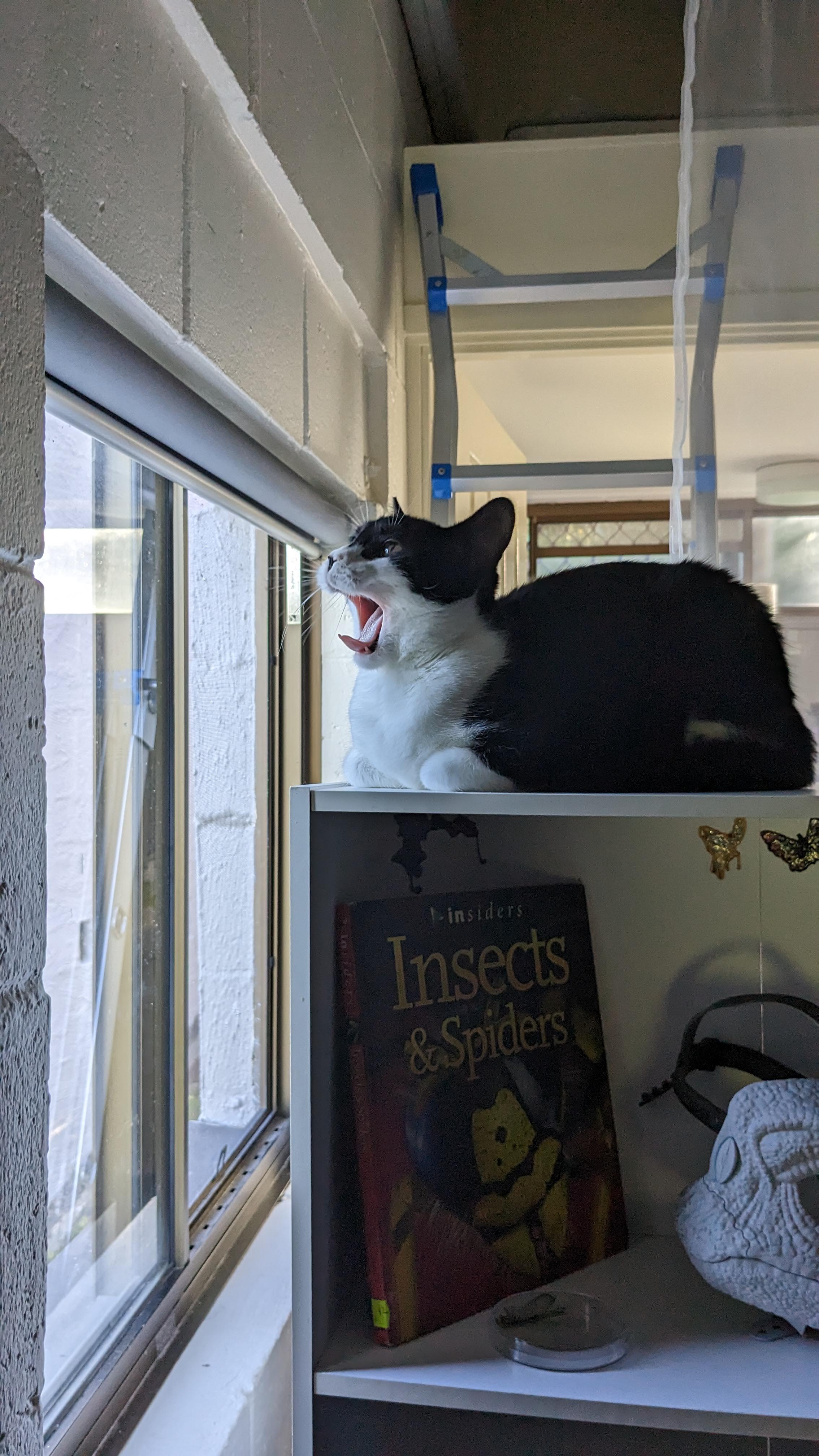 My bootiful boofy | Scrolller