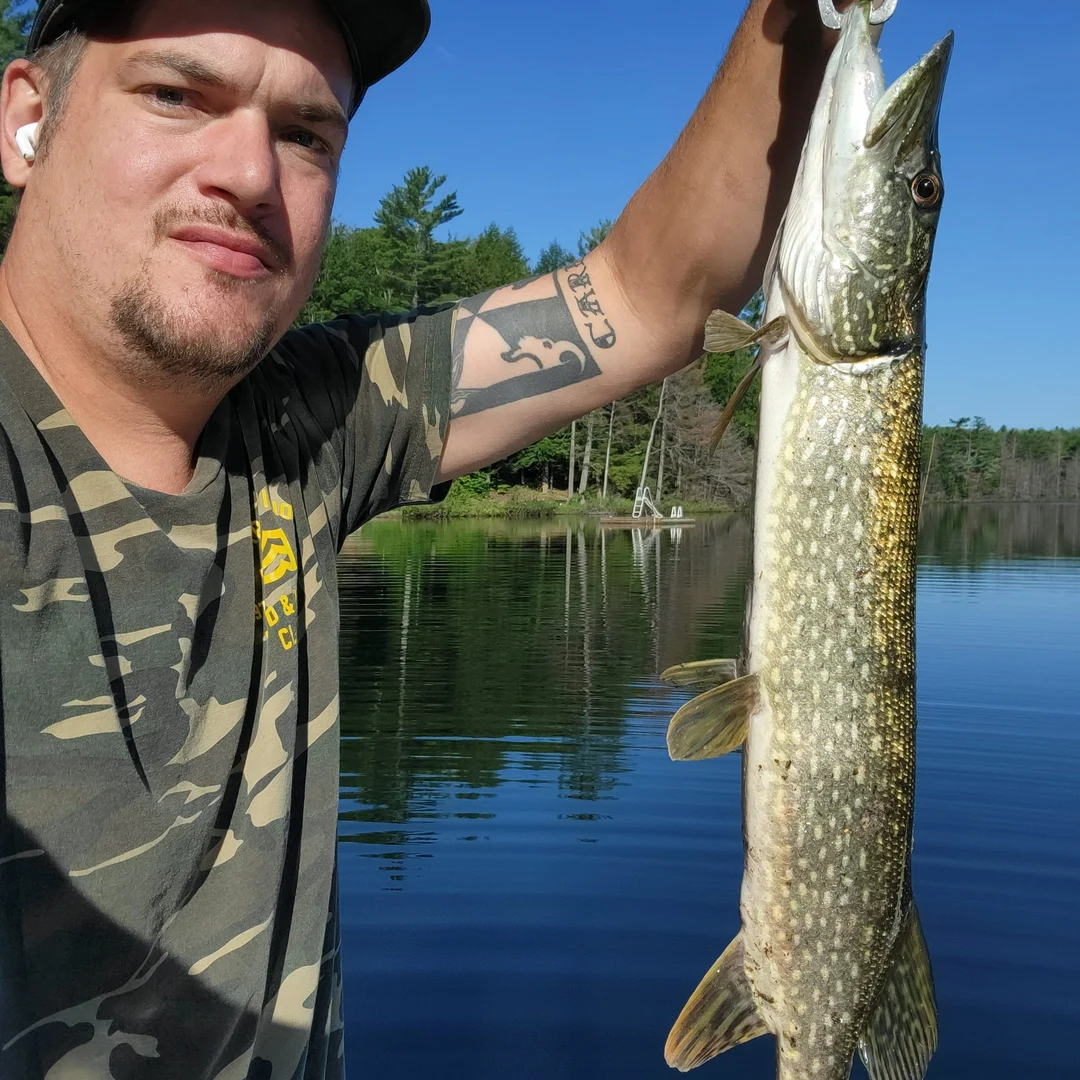 Discover more like Fishing: caught my first pike and Related Content | Scrolller