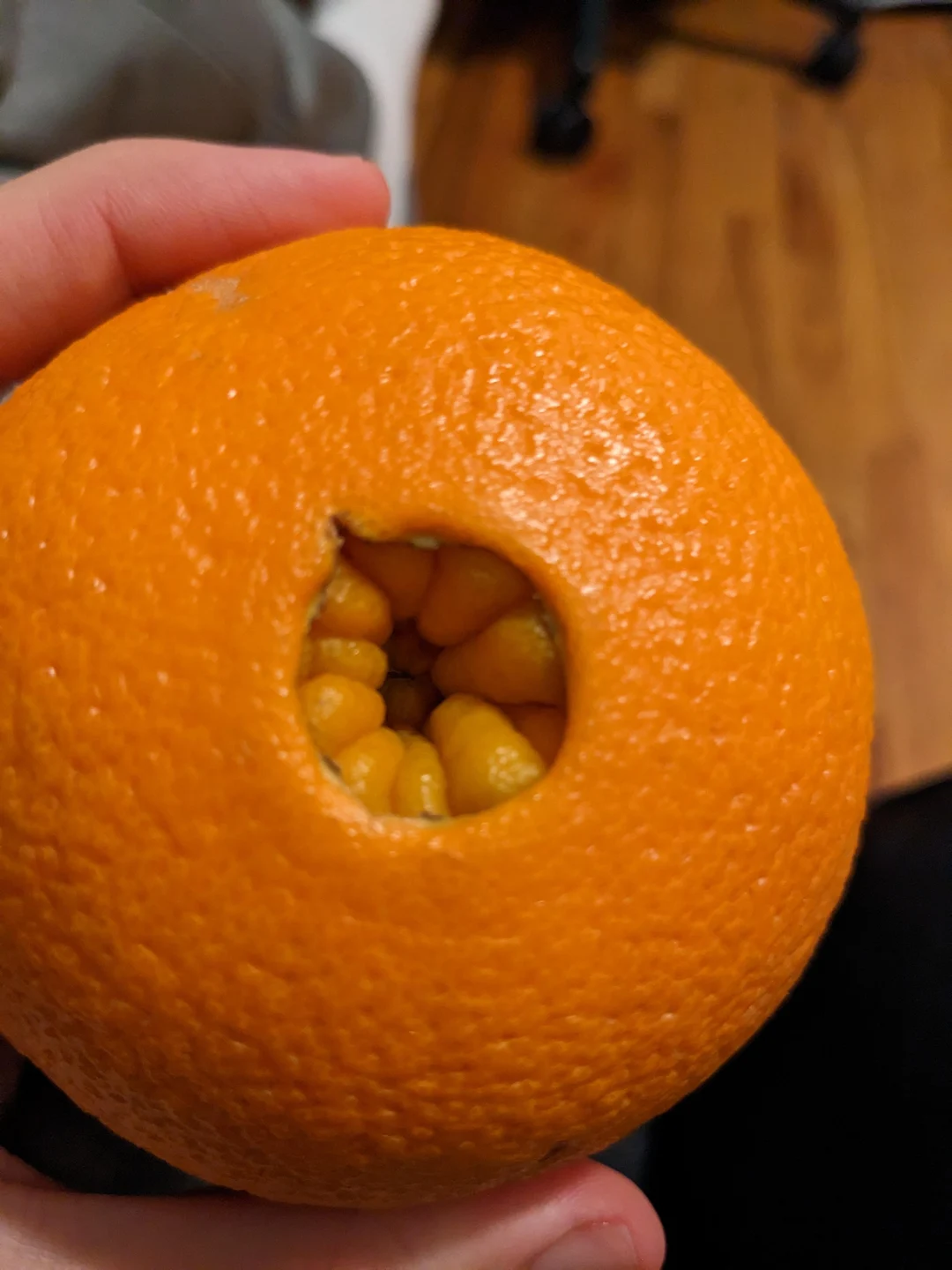 maybe just this once | Scrolller