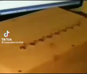 Switches | Scrolller