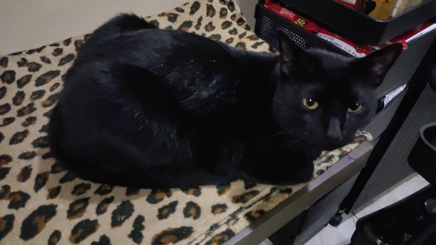 Burnt 🍞 | Scrolller