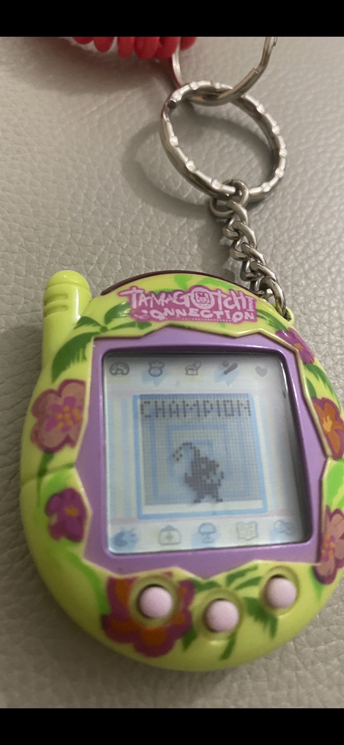 Finally won bump!!! | Scrolller