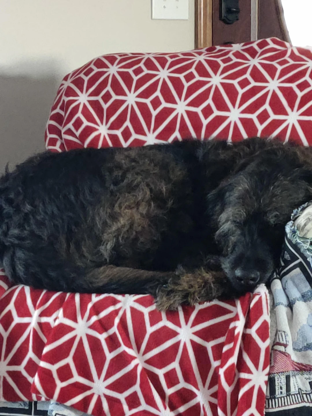 Spoiled boy | Scrolller