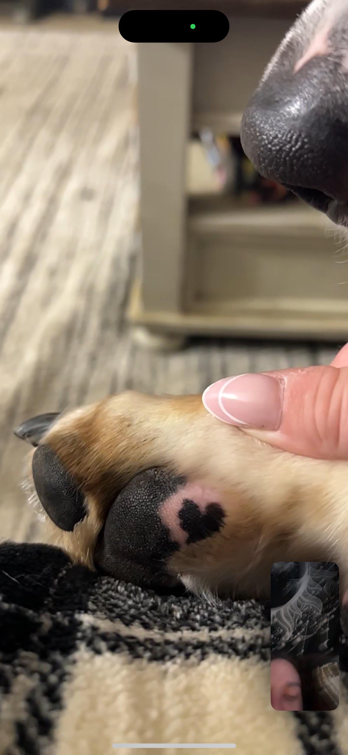 The lady and I just realized our 4yr old baby boy has a heart on the ...