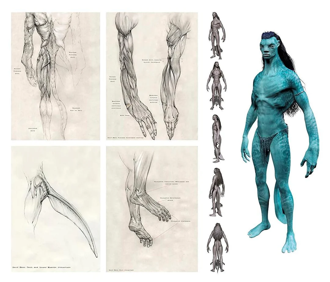 Navi evolution and human evolution | Scrolller