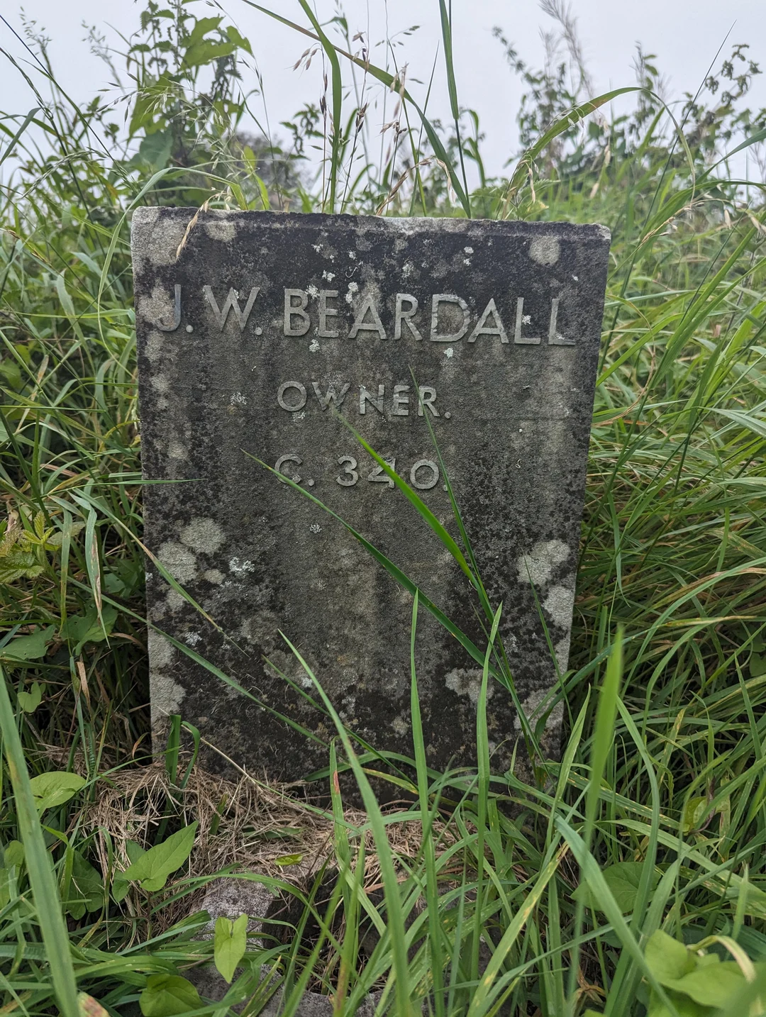 Does anyone know what this means? | Scrolller