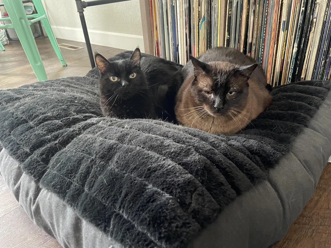 Double Loaf | Scrolller
