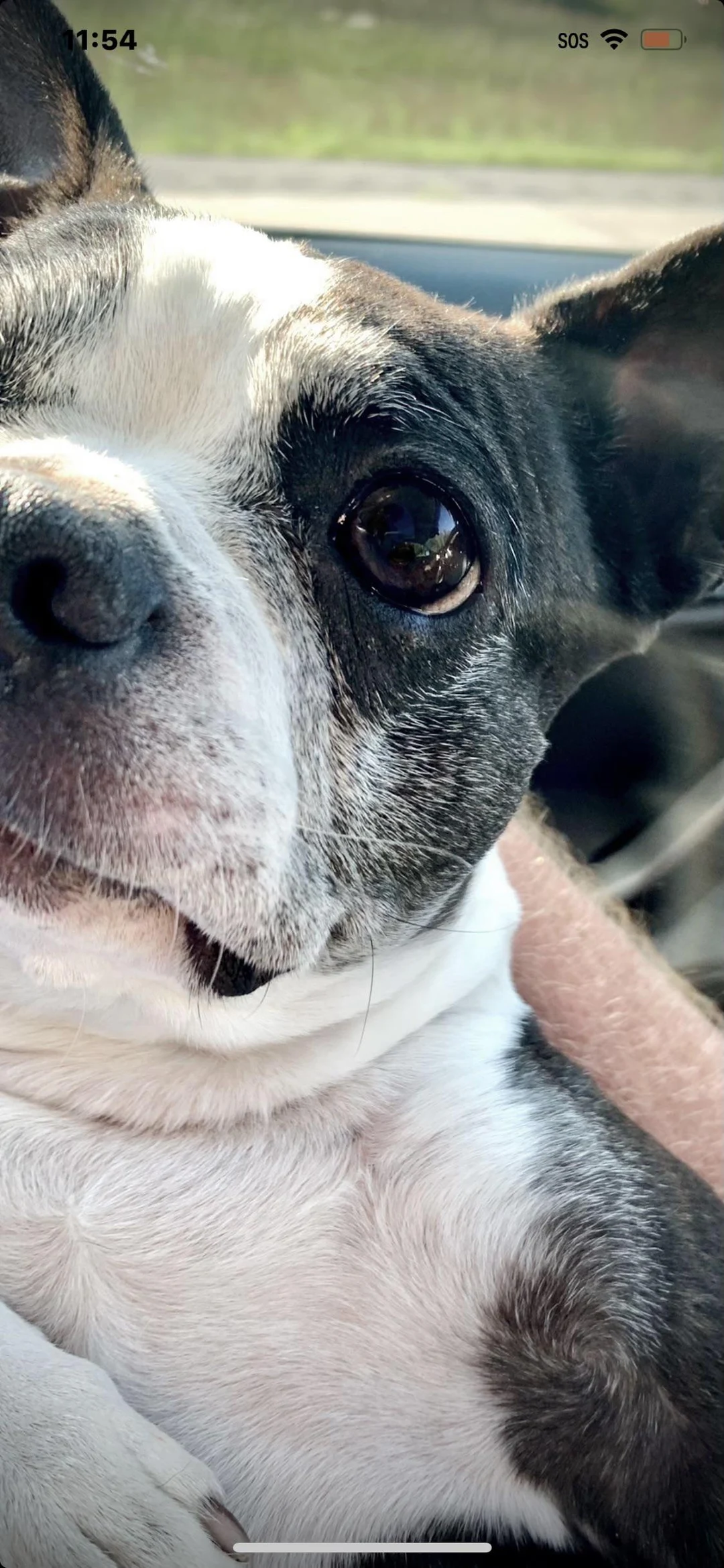 Goodness | Scrolller