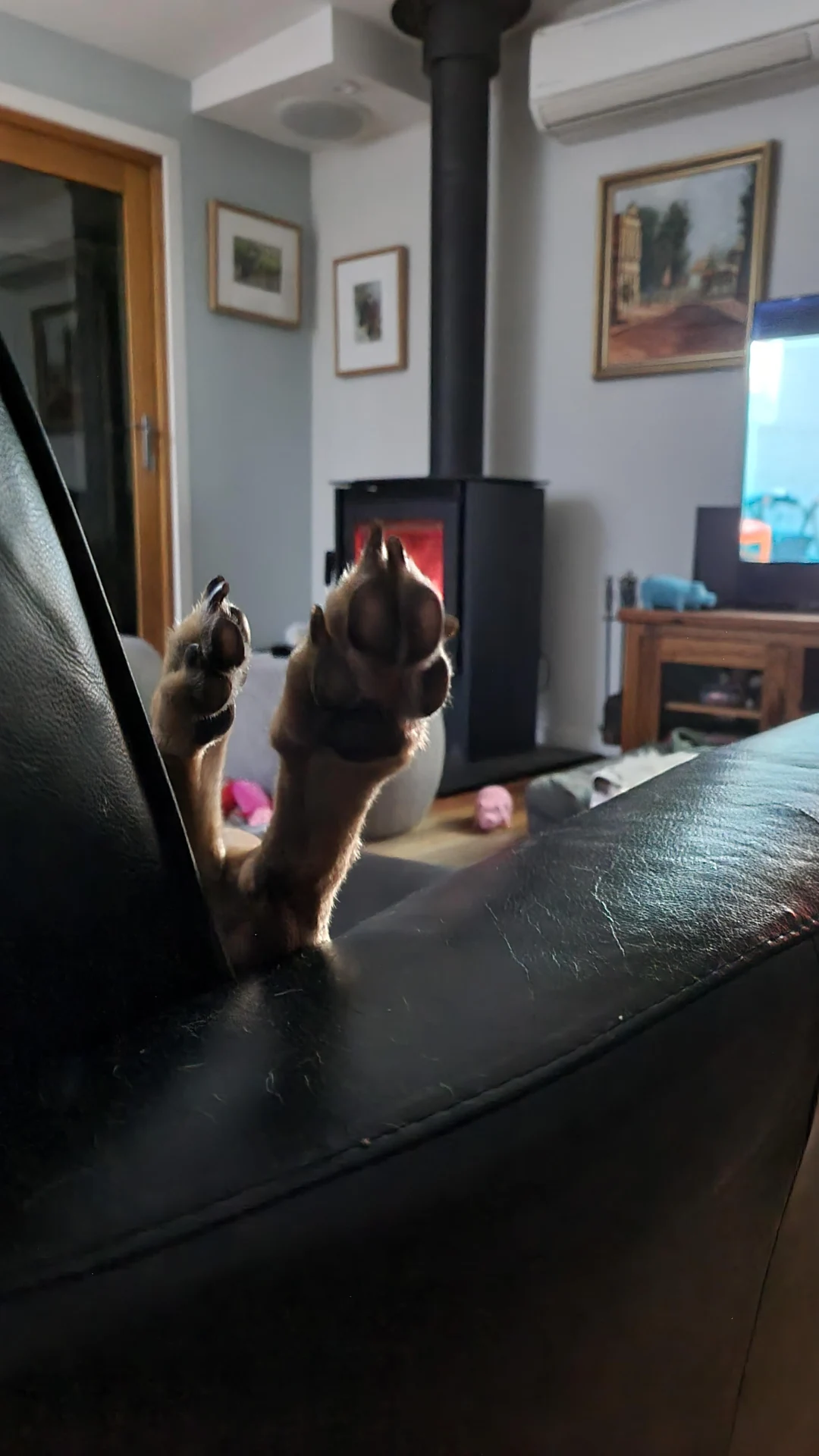 Consigned to the Dining Table | Scrolller