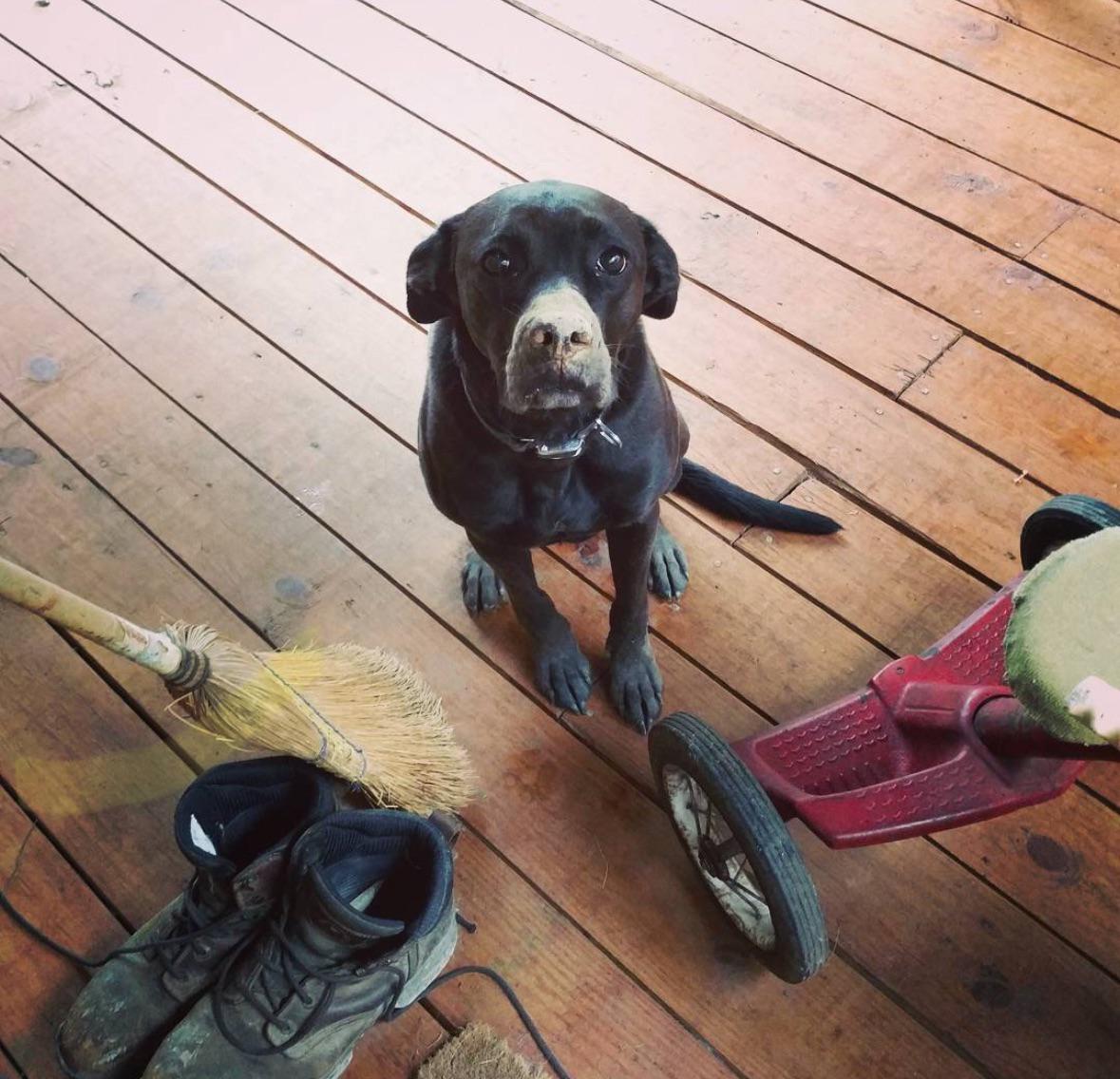 Happy Birthday to our BMO | Scrolller