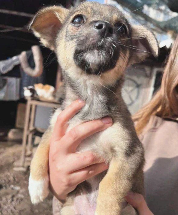 Small superhero | Scrolller