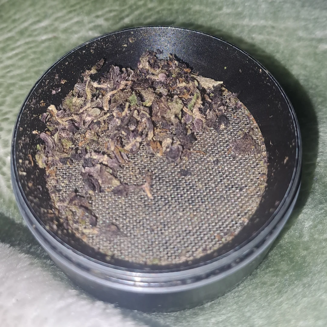 Purple weed | Scrolller