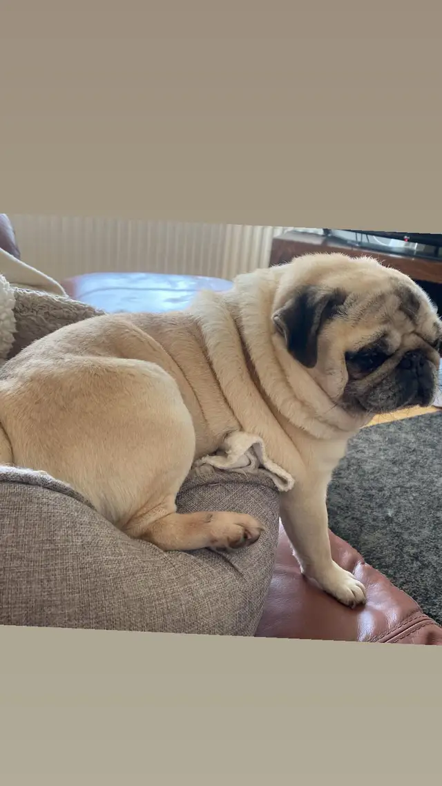 My Julian 🥰 | Scrolller