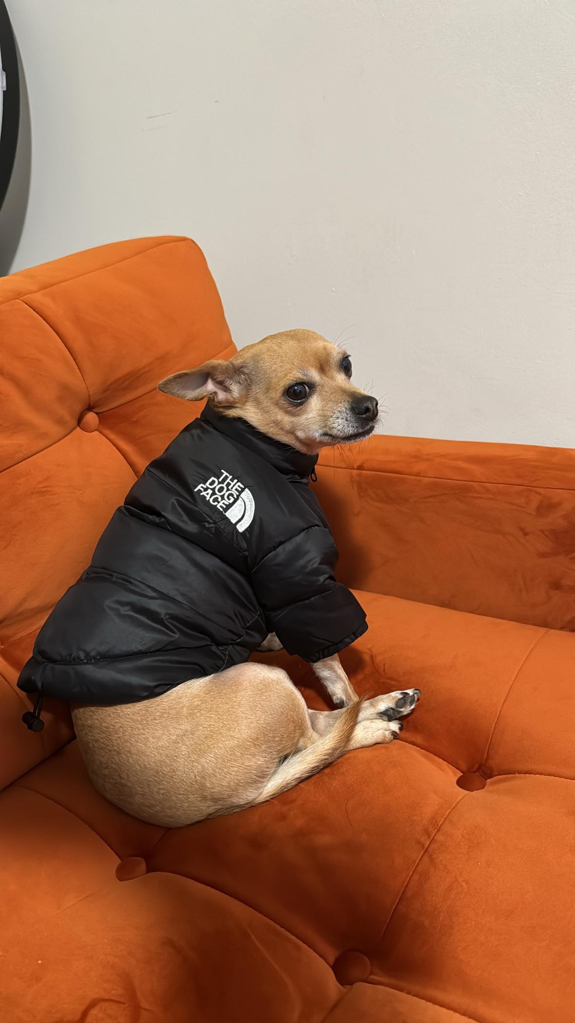 Modeling her new puffer jacket | Scrolller