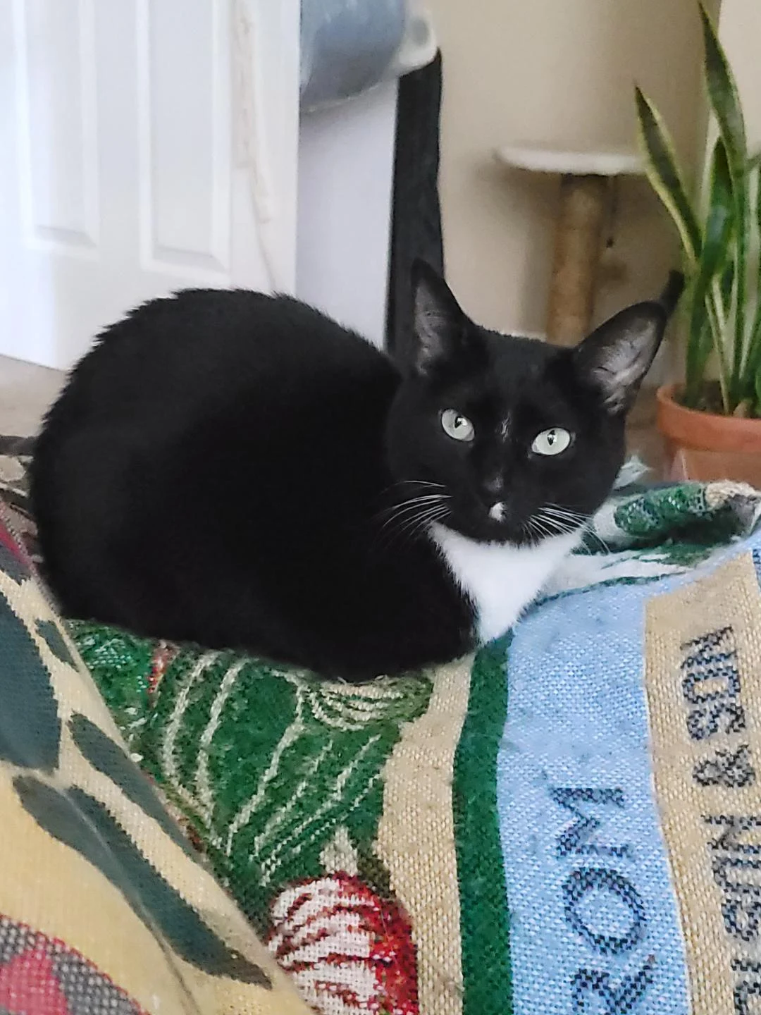 Burnt, but perfect form. | Scrolller