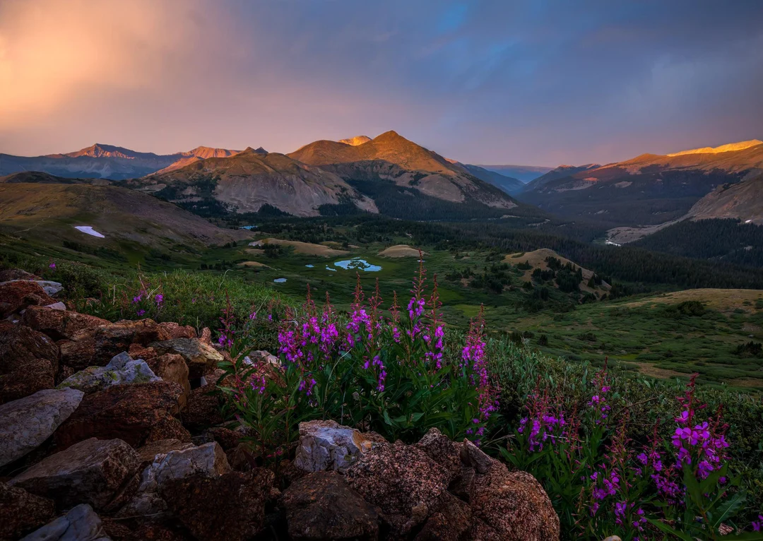 Summer evening on the Continental Divide in Colorado, USA [oc] [2048x1452] | Scrolller