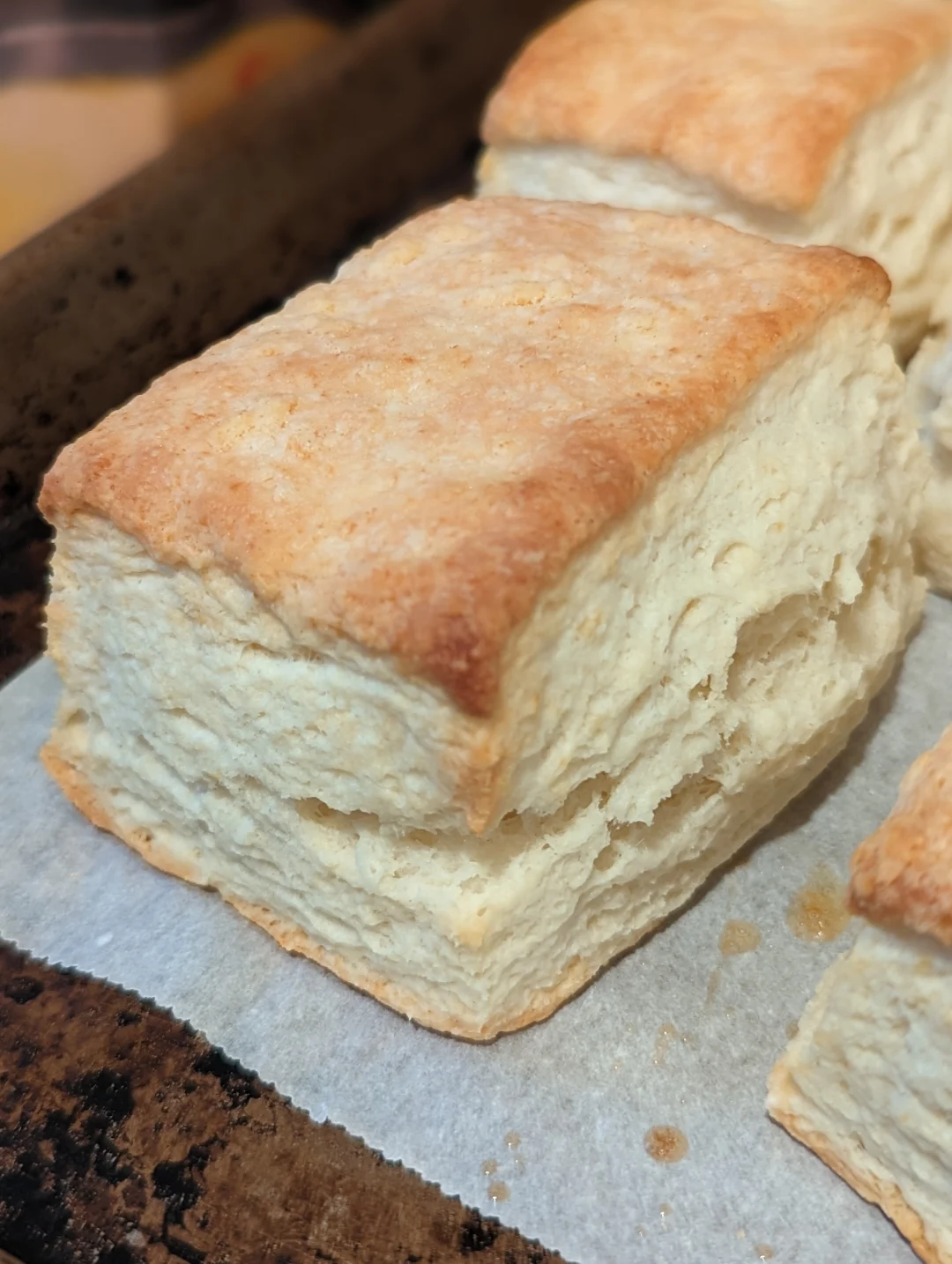 Biscuit. | Scrolller