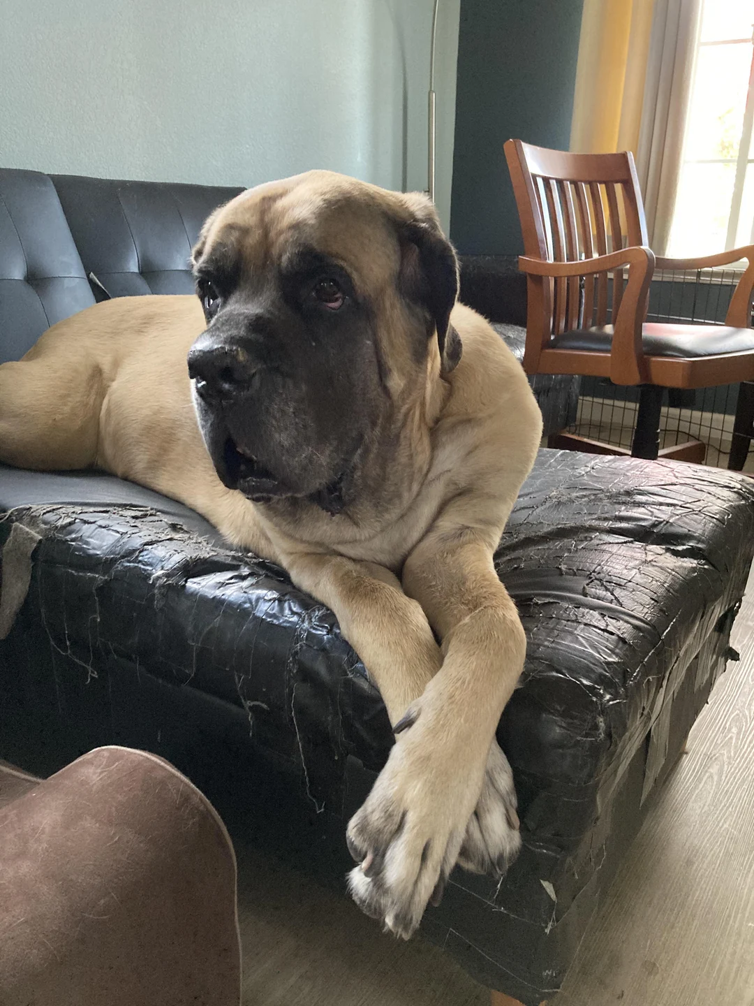 Chilling | Scrolller