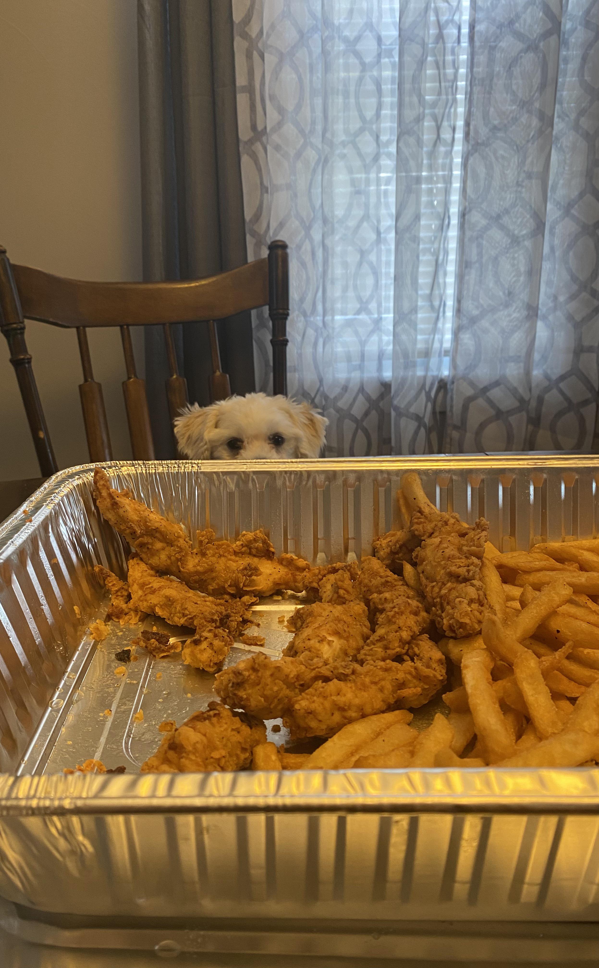 Was eating my dinner and saw this sitting across from me | Scrolller