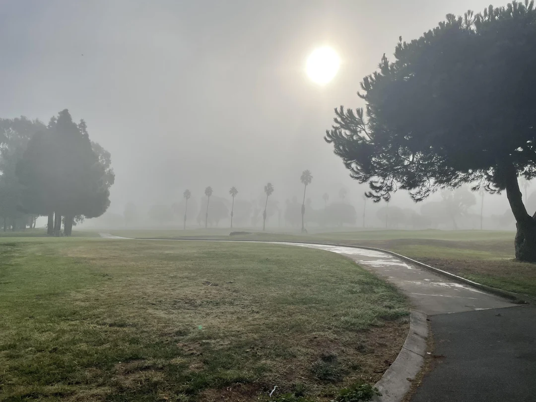 Fall Golf in the Fog | Scrolller