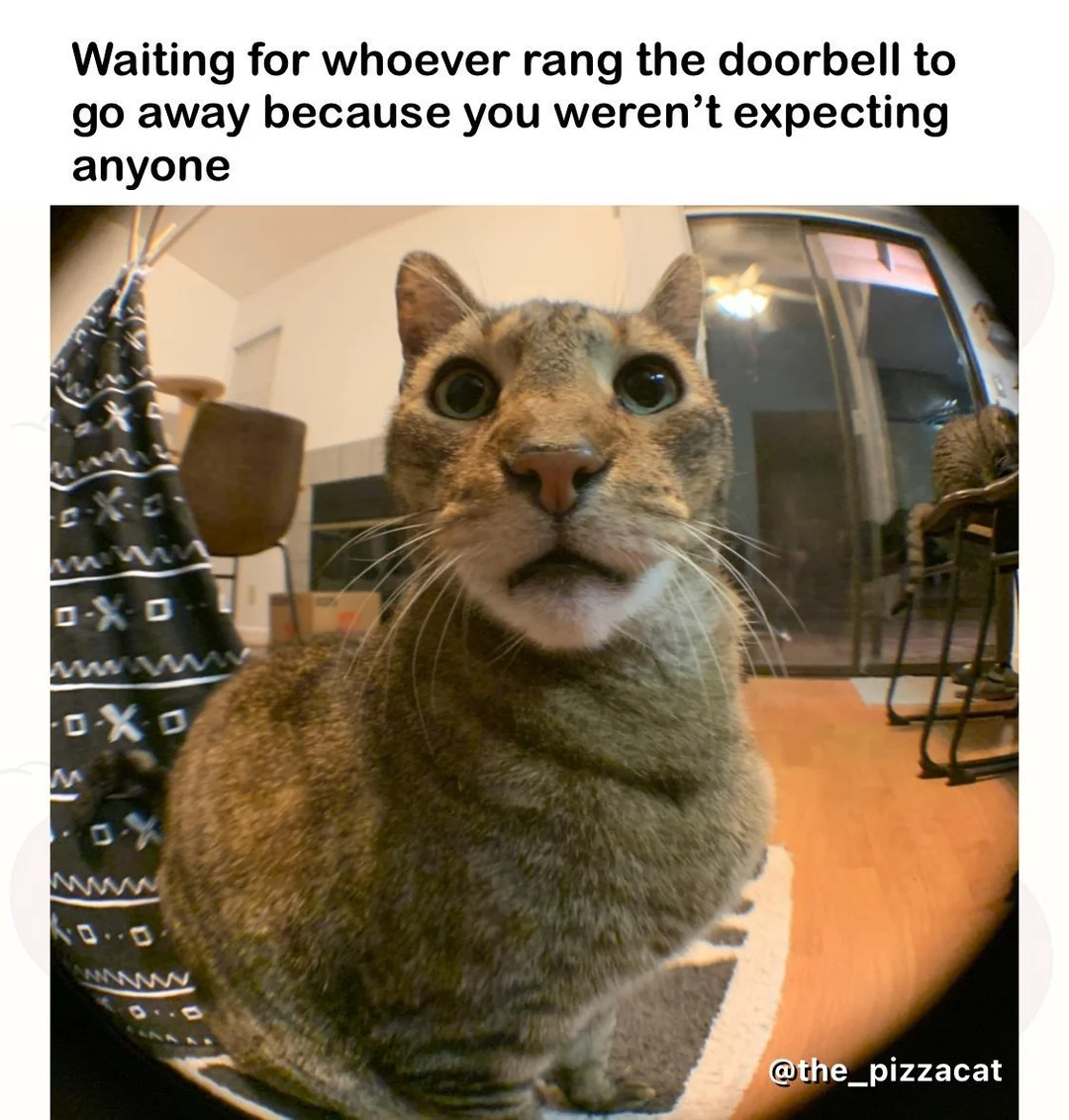 Please go away | Scrolller