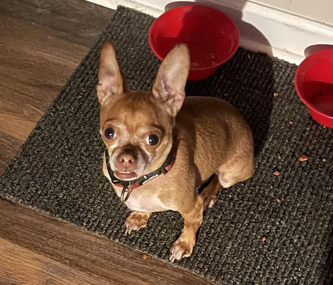 Passive Aggressive Much? | Scrolller