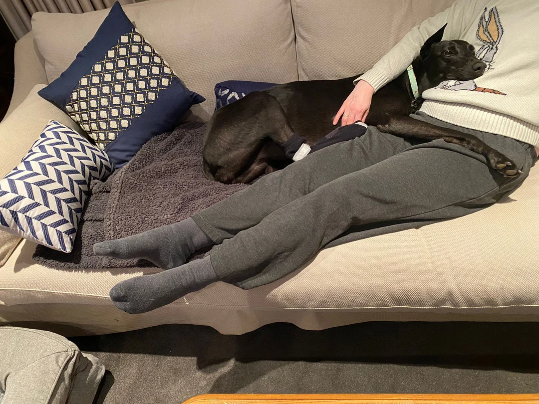 There is almost nothing, aside from spooning with the cat, than when she cuddles up to me like ...