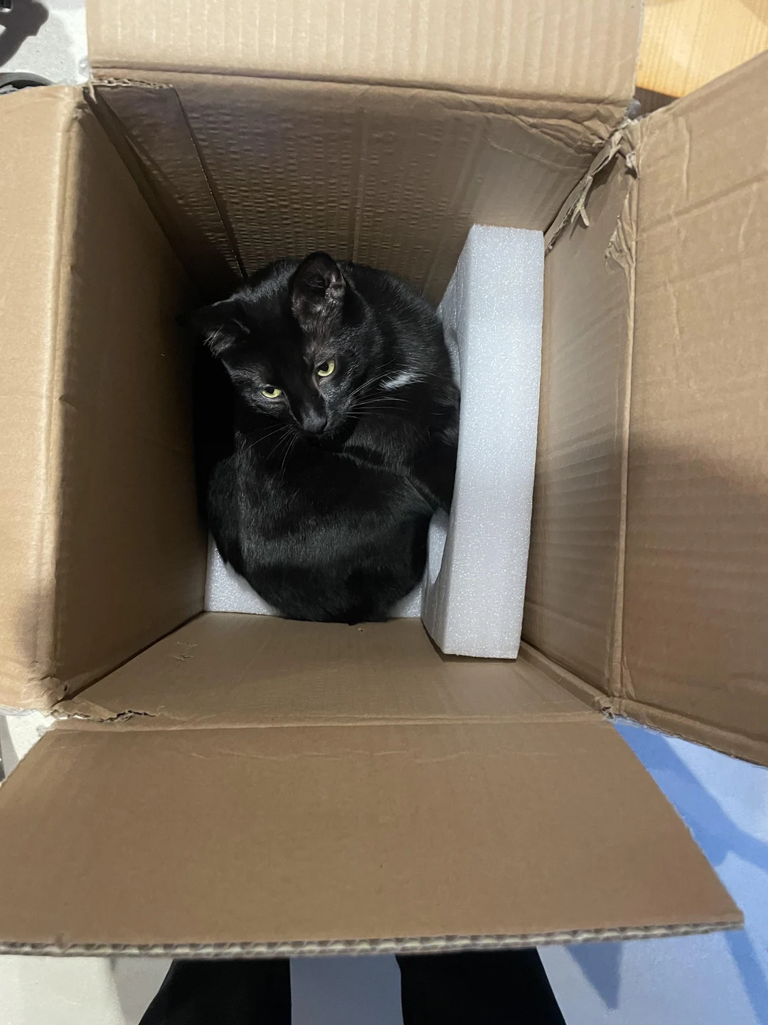He’s making sure the box was insulated properly | Scrolller
